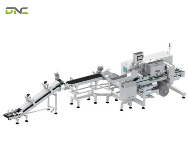Automatic Tablet Dispensing and Packaging System | Precision ...