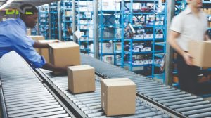 Warehouse Control System (WCS) – The Brain of Smart Warehouse Operations